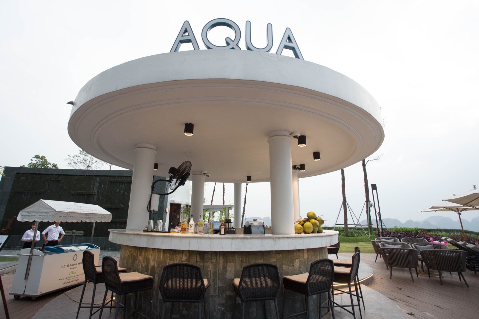 Aqua Pool Bar | FLC